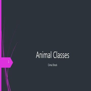 Animal Classes | PPTX