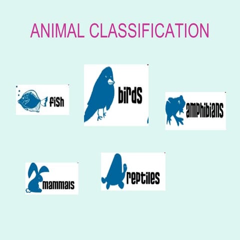 Animal classification | PPT