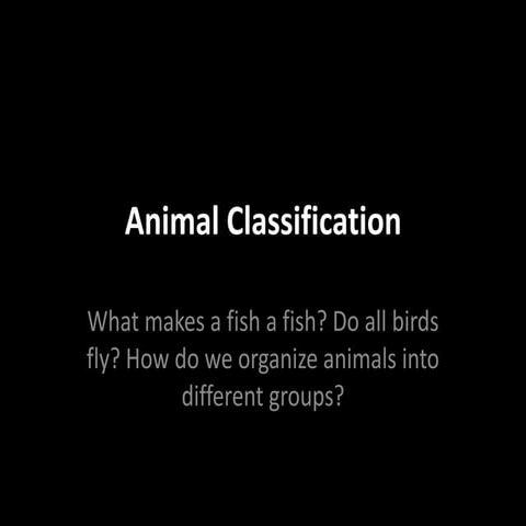 Animal classification | PPT