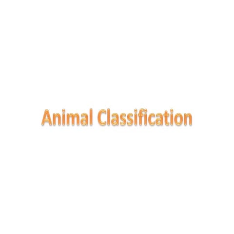 Animal classification | PPT