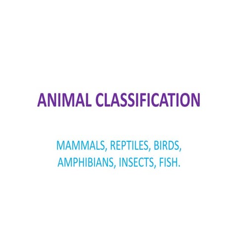 Animal classification | PPTX