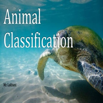 Animal classification | PPT
