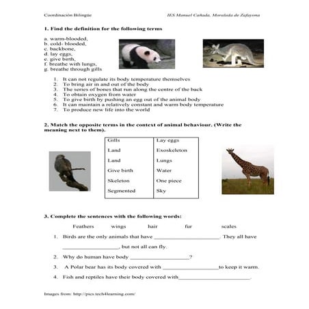 Animal classification 1-2 | PDF | Reptiles | Pets