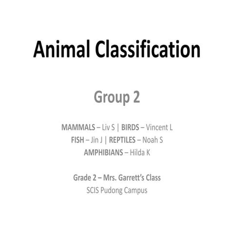 Flamingo | PPT