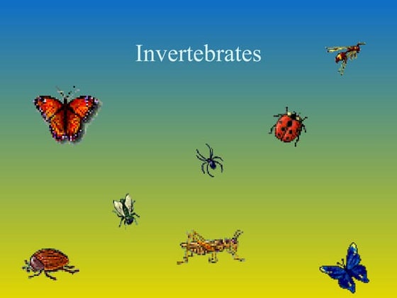 Movement of animals | PPTX