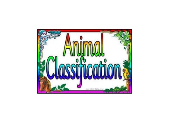 Classification of animals | PPT