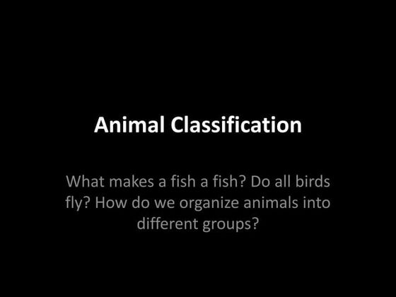 Animal classification | PPT
