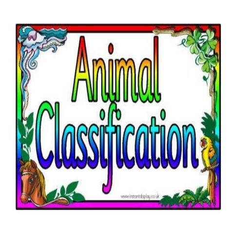 Animal classification y1 | PPT