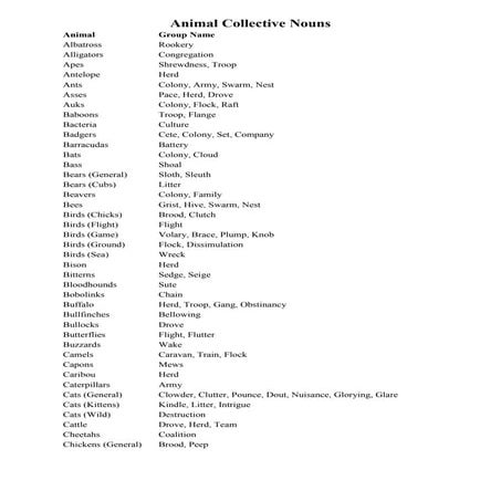 Animal collective nouns | DOCX
