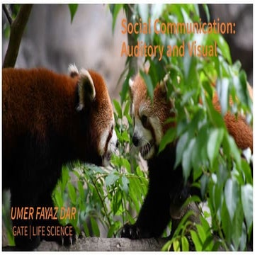 Animal Communication- Auditory and Visual.pptx