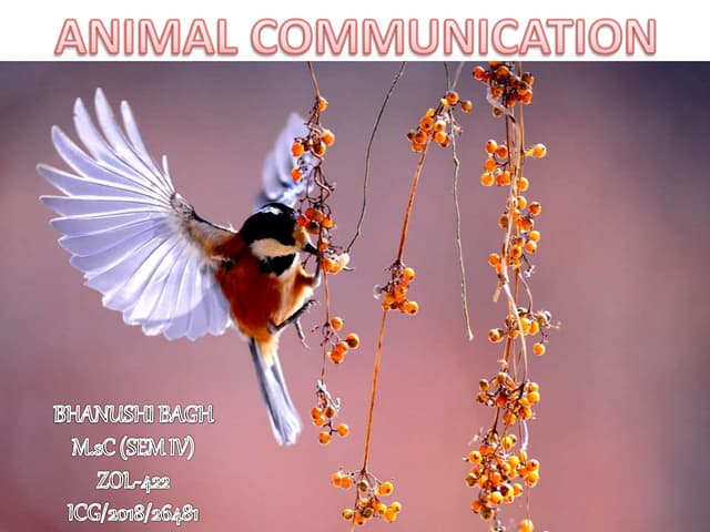 Various ways of animal communication and types | PDF