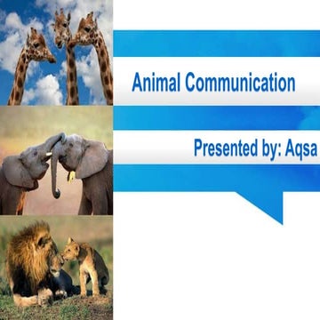 Animal communication elephant communication | PPTX