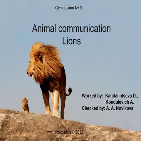 Animal communication lions | PPTX | Cats | Pets