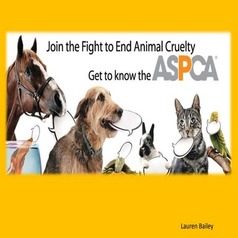 Animal Cruelty | PPTX | Debated Sensitive Social Issues | Sensitive Topics