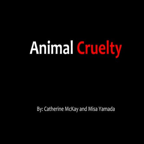 Animal Cruelty | PPT