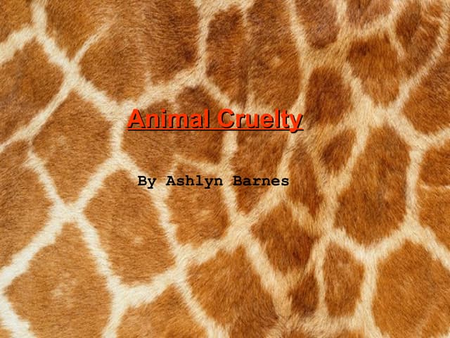 Animal Cruelty animal-cruelty