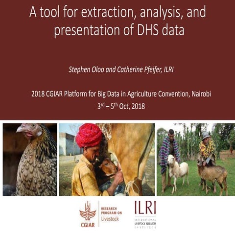 A tool for extraction, analysis, and presentation of DHS data | PPTX