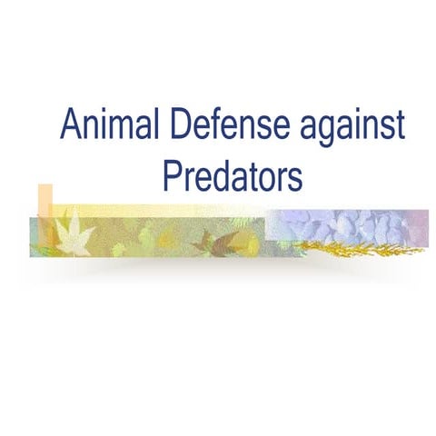 AnimalDefensevsPredators.pptx