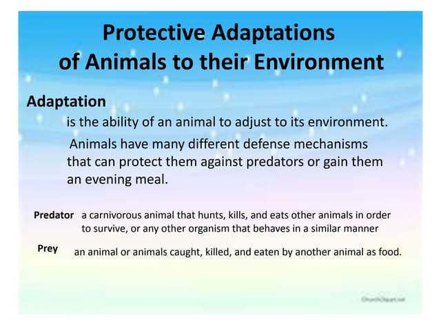 Offense and defense behavior in insects | PPTX