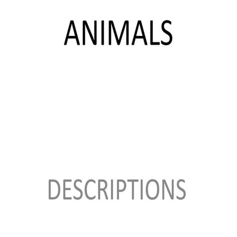 Animal descriptions y1 | PPTX