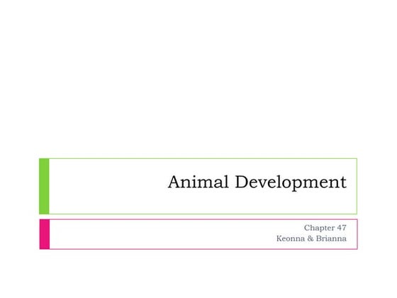 Symmetry Presentation By Sharanya | PPT