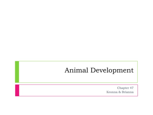 morphogenetic movements-developmental biology | PPTX