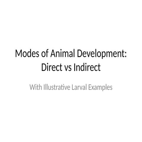 Modes of Animal Development: Direct vs Indirect | PPTX