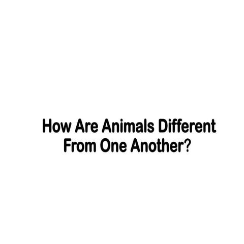 Animal_Differences_The habitat and lives of different animalsLesson.pptx
