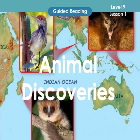 ANIMAL DISCOVERIES a story to tell to students | PDF