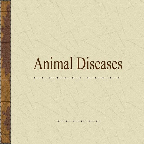 Animal diseases 4 | PPT