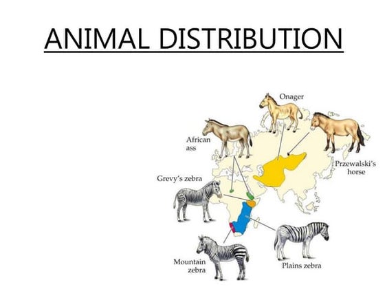 Kinds of animal distribution | PPT