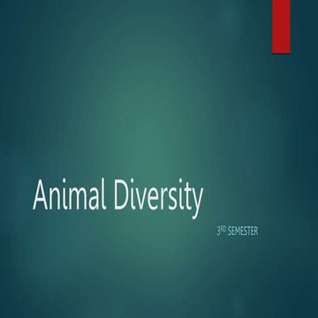 Presentation on animal diversity and classification | PPT