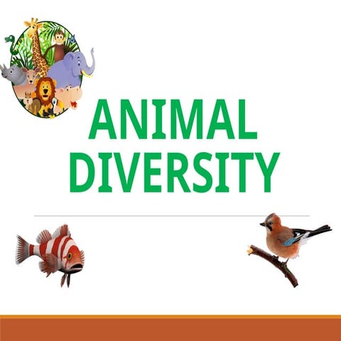 ANIMAL DIVERISTY IN SCIENCE (KINGDOM ANIMALIA) | PPT