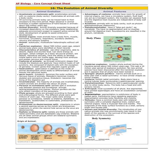2016 EC Invertebrate zoology ppt-1 - Copy (2).pdf