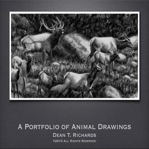 Animal Drawing Portfolio | PDF