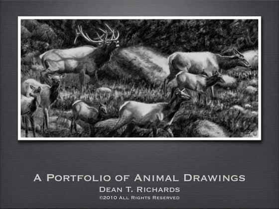 Bird Drawing Portfolio | PPT