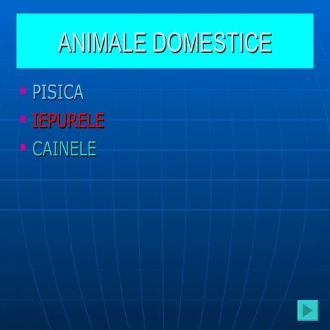 Animale domestice | PPT