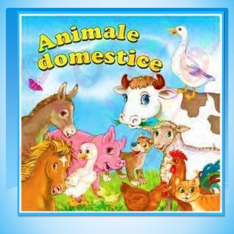 Animale domestice | PPTX