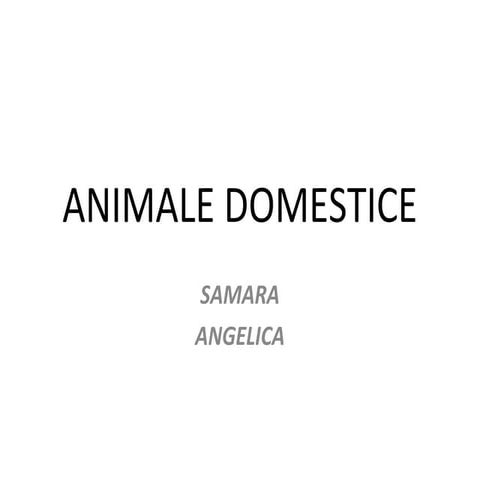 Animale domestice | PPT