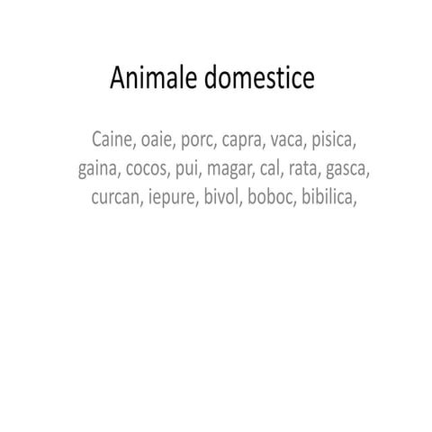 Animale domestice | PPTX