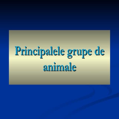 Animalele.... | PPT