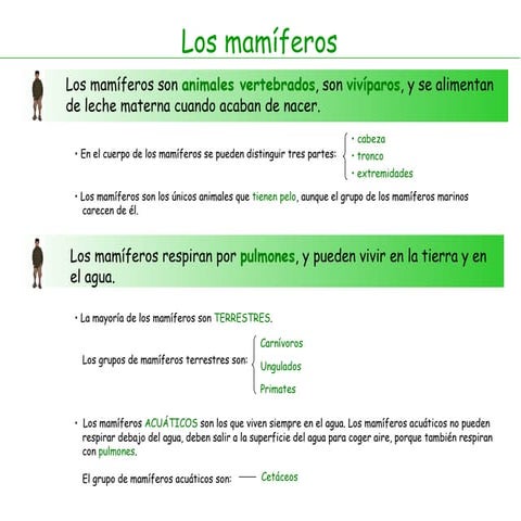 Tipos de Animales y sus características | PPT