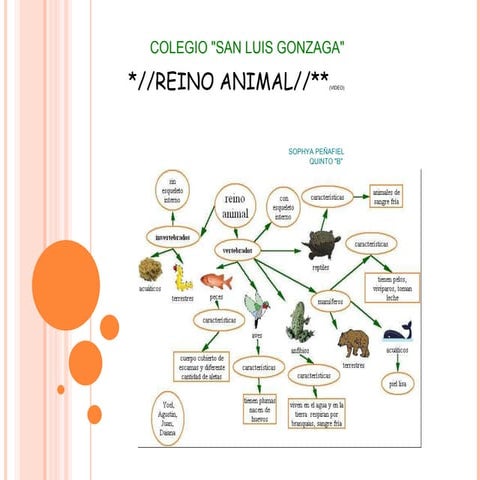 Animales | PPT