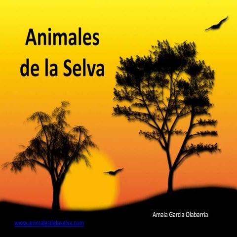 Animales de la selva | PPT