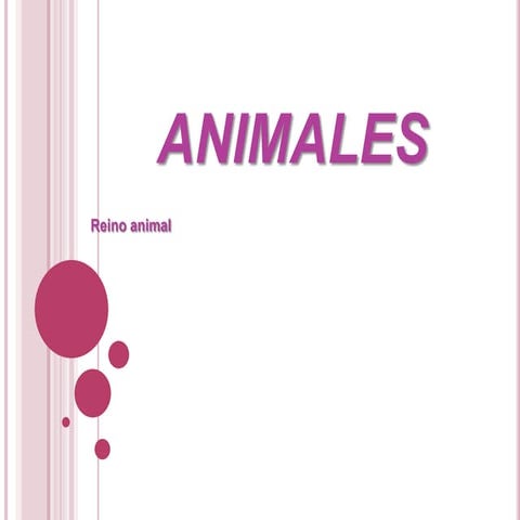 Animales | PPTX