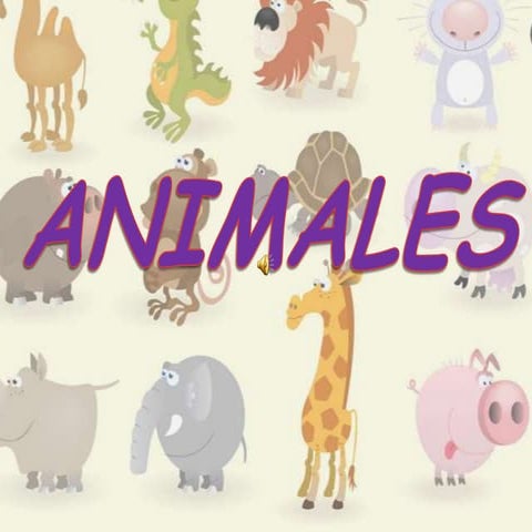Animales | PPTX