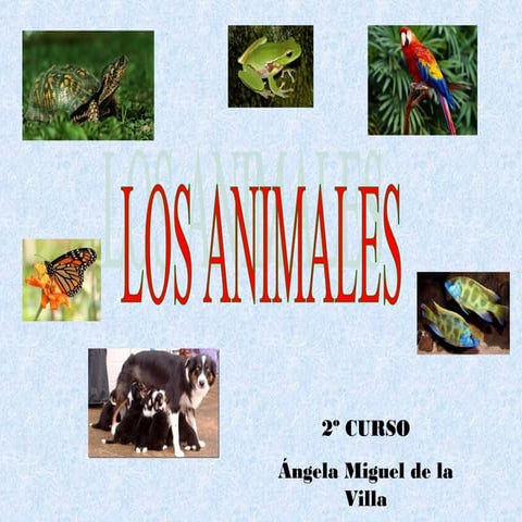 Animales | PPS