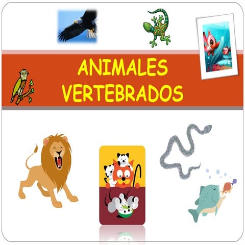 Animales vertebrados | PPT