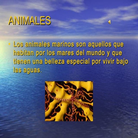 Los Animales Marinos. | PPT