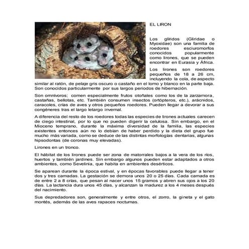 Los animales de áfrica infantil 5años- | PPT